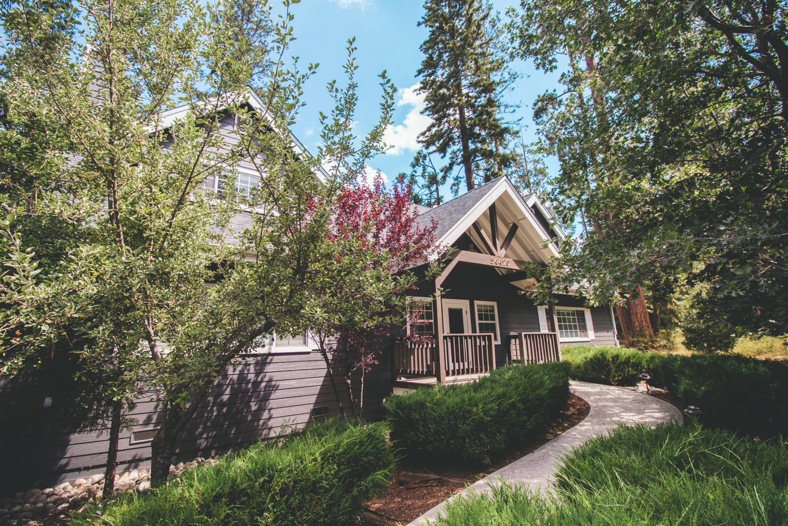 Contact Us - Harvey House - Idyllwild Hotel, Inn, Bed and Breakfast ...